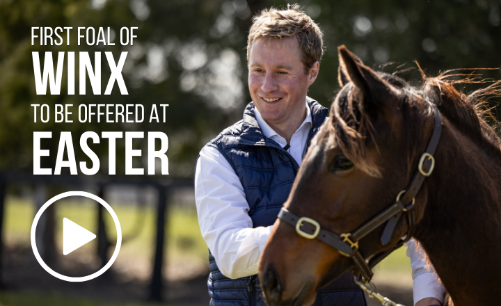 Home - Inglis - Australia's Leading Bloodstock Auctioneers