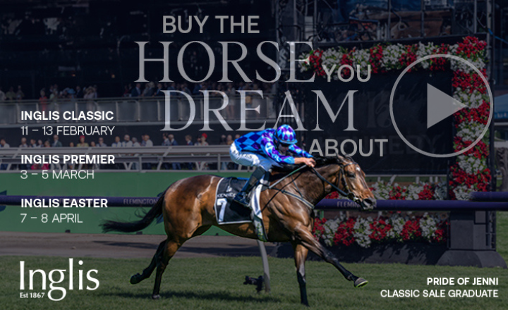 Home - Inglis - Australia's Leading Bloodstock Auctioneers