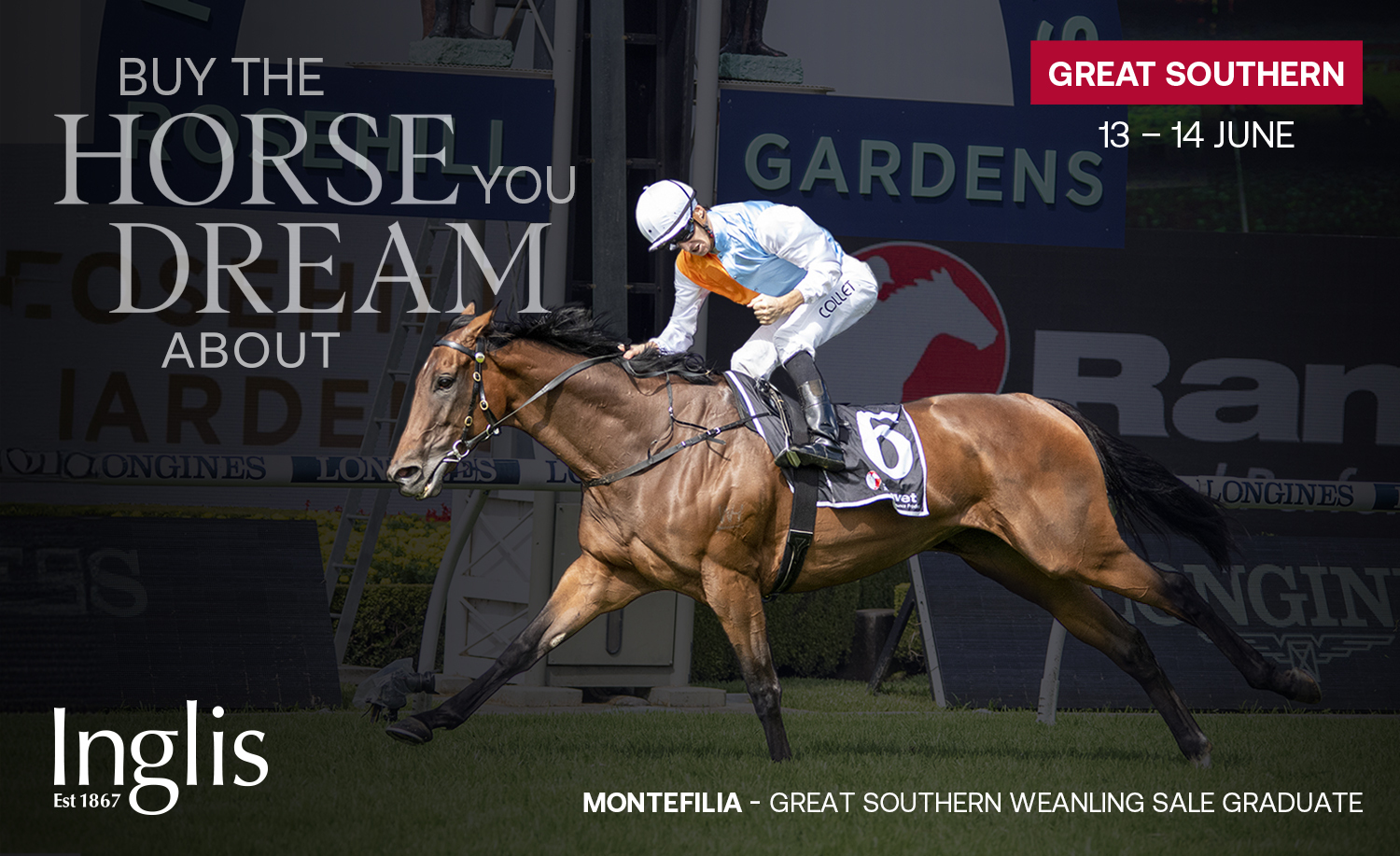 2024 Inglis Great Southern Sale - Inglis - Australia's Leading ...