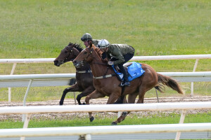 2024 Ready2Race Sale - Inglis