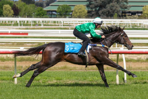 2024 Ready2Race Sale - Inglis