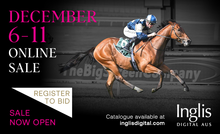 Home - Inglis - Australia's Leading Bloodstock Auctioneers