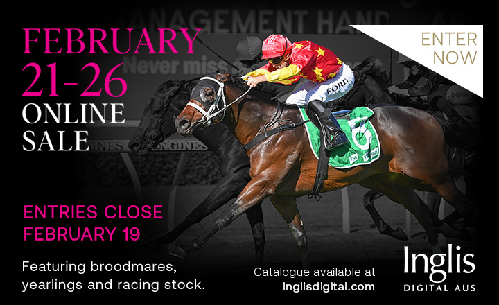 Home - Inglis - Australia's Leading Bloodstock Auctioneers