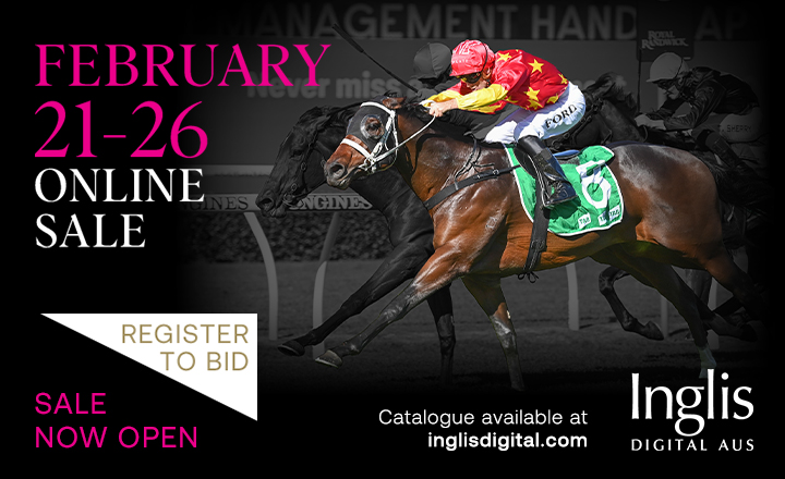 Home - Inglis - Australia's Leading Bloodstock Auctioneers