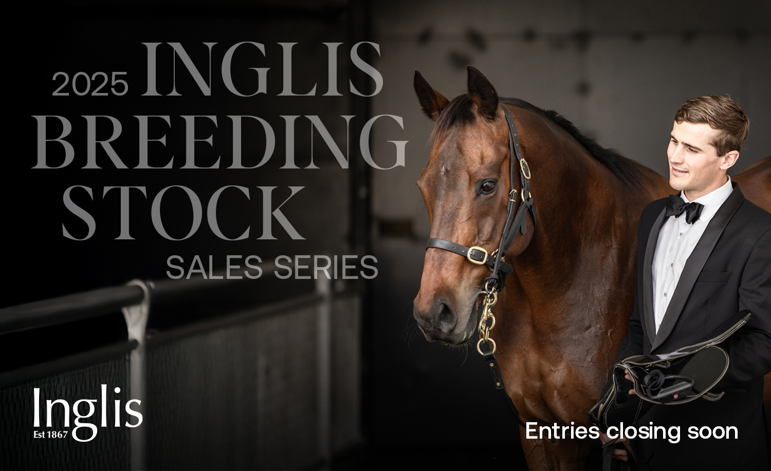 Home - Inglis - Australia's Leading Bloodstock Auctioneers